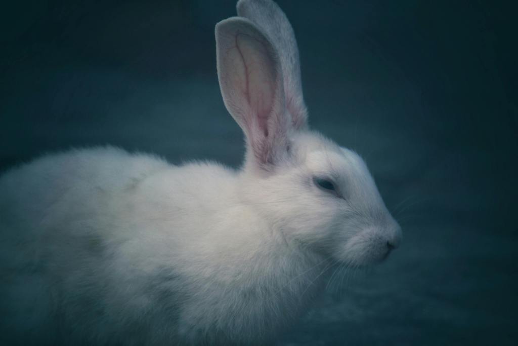 GI Stasis in Rabbits: Symptoms, First Aid & Prevention Guide